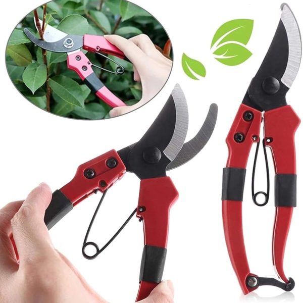 Electric Bouth 40V - Tisara Power Mart